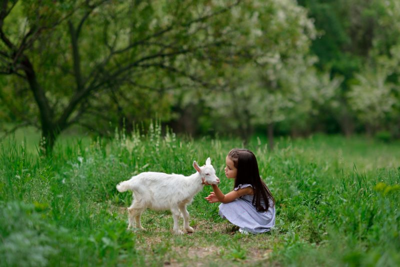 What is Ahimsa and How to Practice It in Everyday Life - YOGA PRACTICE