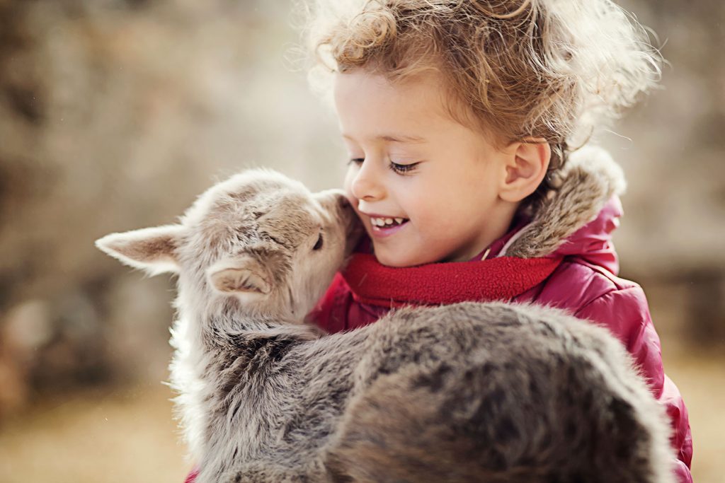 What is Ahimsa and How to Practice It in Everyday Life - YOGA PRACTICE